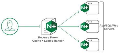 Nginx Reverse Proxy On Debian Unblog Tutorials