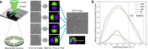 Figure 1 From Direct Imaging Of Local Atomic Structures In Zeolite Using Novel Low Dose Scanning