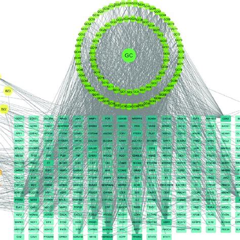 Drug Ingredient Target Network The Circular Nodes Represent Drugs The Download Scientific