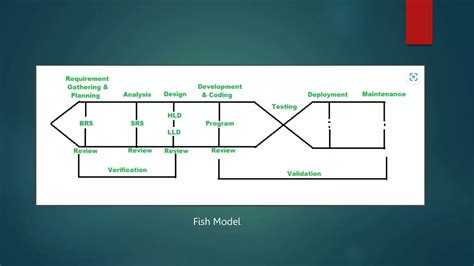 Sdlc Software Development Life Cycle Pptx