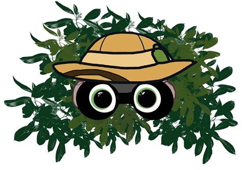 An Exploration Of Our API Explorer SyncHub Blog