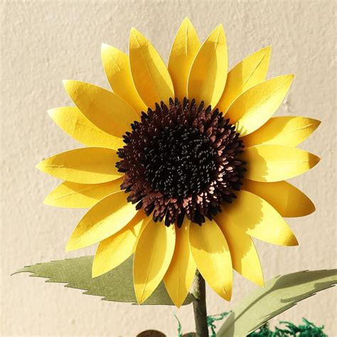 주말에 집에서 손수 만든 종이해바라기가 너무 예쁘게 완성되었어요 🌻💛 선물로도 딱 좋을 것 같아요~ 👉지금 보고 있는 상품은