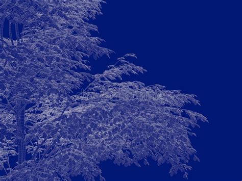 3d Rendering Of An Outlined Tree Blueprint Isolated On Blue Back Stock