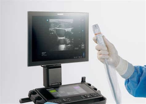 Sonosite Lx Introduce La Ultra Alta Frecuencia En Pocus Con El Primer Y