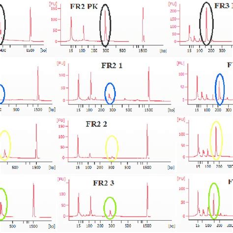 Gel Like Image From The Microfluidic Electrophoresis Of The Tested Download Scientific Diagram