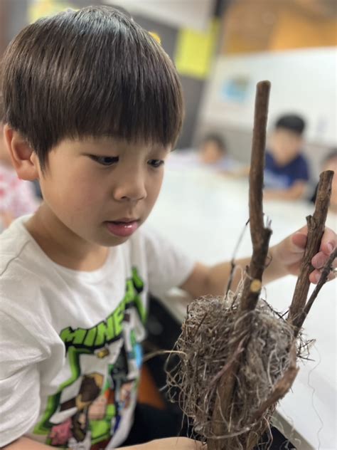 Eggs And Nests Gotanda 英語学童access