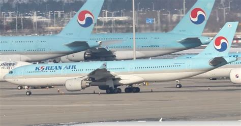 대한항공 아시아나 독과점 막는다…저가항공 유럽 취항권 확대