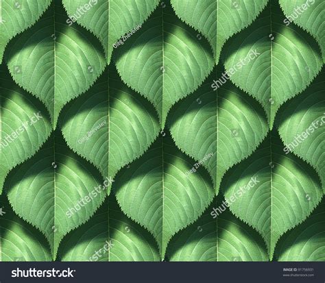 Tiling Texture Leaf Stock Illustration 91756931 Shutterstock