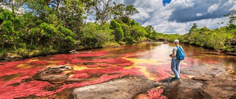 Seven Colors River Caño Cristales Pure Travel Group