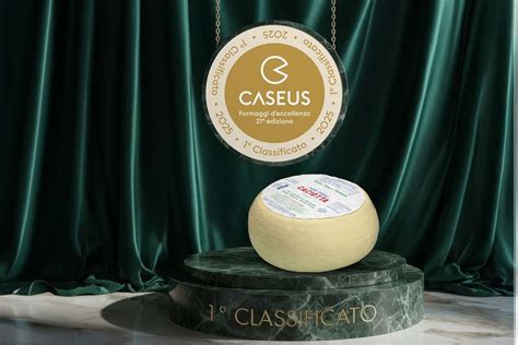 Il Gusto Trevigiano Premiato Al Caseus Veneti 2025 Con La Caciotta Di