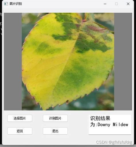 0074期通过cnn卷积网络识别树叶是否存在病变 含数据集 Csdn博客