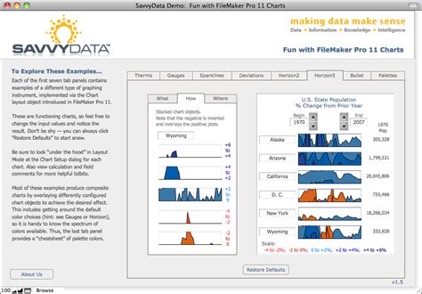 Fun With FileMaker Pro Charts V SavvyData Making Data Make Sense