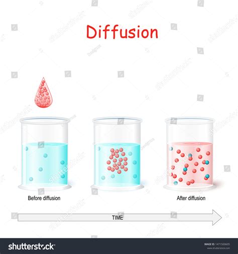 Diffusion Molecules Images Stock Photos Vectors Shutterstock