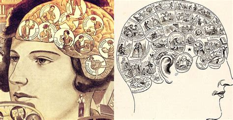 What Is The Iq Formula Iq Exam Blog