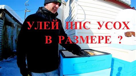 улей ППС Лысонь, корпуса дают усадку? - YouTube