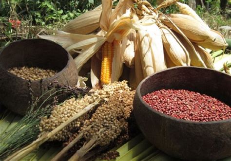 Cara Mempromosikan Produk Pangan Lokal Indonesia