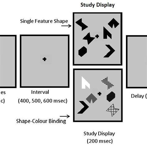Chronology And Design Of The Visual Short Term Memory Tasks Arrow Cues Download Scientific