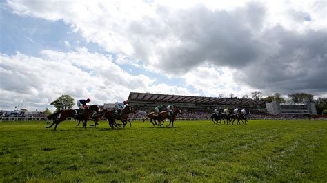 High Class Fare On The Cards At Sandown Racing Post