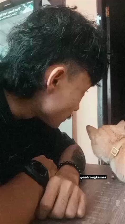 Ndrong On Twitter No Sex Just Me And Cat Cok😁 Ada Yg Mau Diciumin Kek Gini Siniii