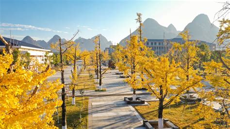 桂林电子科技大学校园 桂林电子科技大学大门 第4页 大山谷图库