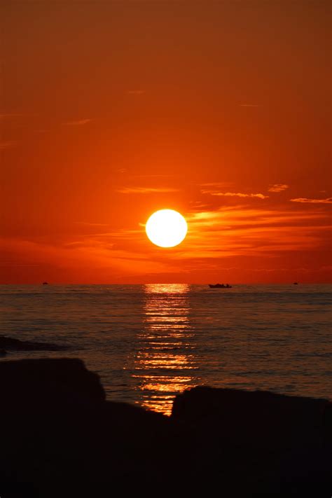 경치 경치 좋은 전망 고요한 골든 아워 구름이없는 그림 같은 나무 다채로운 하늘 대담한 색상 따뜻한 음색 목가적인 물 물 반사 반사 불 같은 하늘