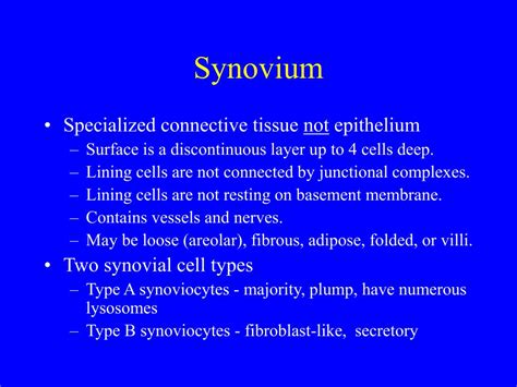Ppt Synovium Non Synovial Joints And Bone Physiology And Diseases