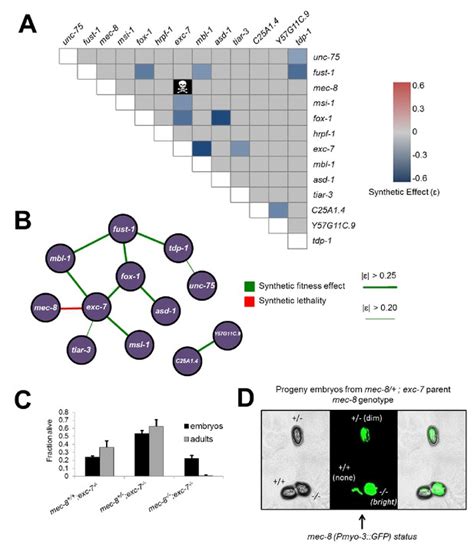 Crispr Mediated Genetic Interaction Profiling Identifies Rna Binding