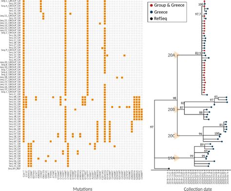 Phylodynamic Tree Generated With The Sequences Falling Withing