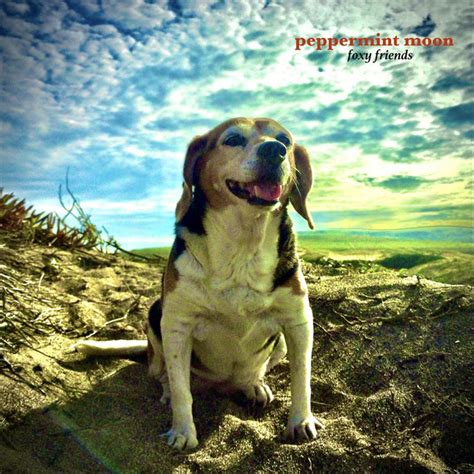 Peppermint Moon With His Spectacular Single “foxy Friends” Fusionostalgia