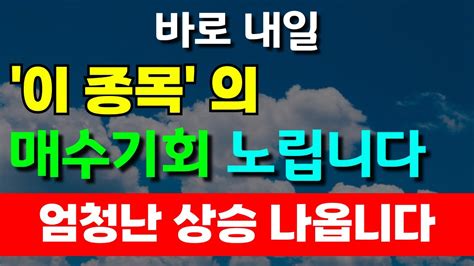 내일 이 종목 매수기회 노립니다 Youtube