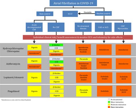 Atrial Fibrillation Treatment