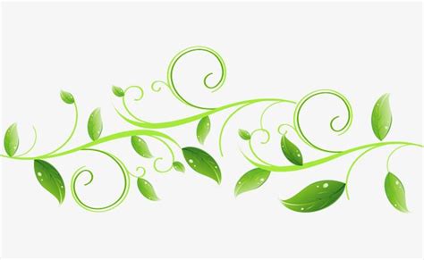 Free Green Vines Download Free Green Vines Png Images Free Cliparts