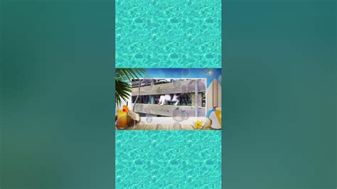 귀여운 아기 고양이 야옹~ Youtube