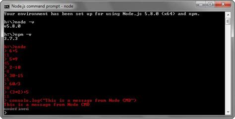 install and run a nodejs application
