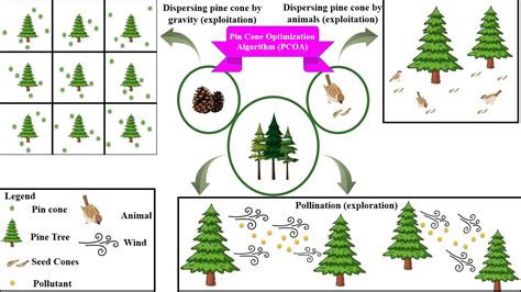 The Pine Cone Optimization Algorithm Pcoa