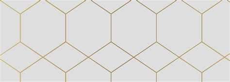 Medcity Builders Curve Solutions