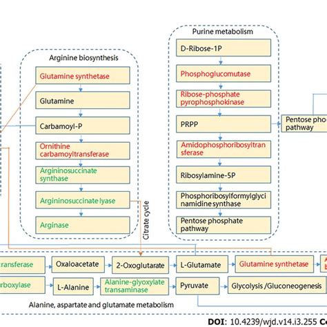 Potential Targets Of The Metabolic Pathways Showing Differential