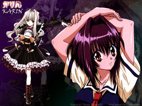 Chibi Vampire Karin Wallpapers Wallpaper Cave