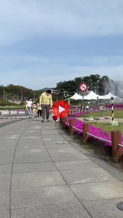 엄마한테 민들레를 보여주고 싶었던 아기 Mp4 유머 움짤 이슈 에펨코리아