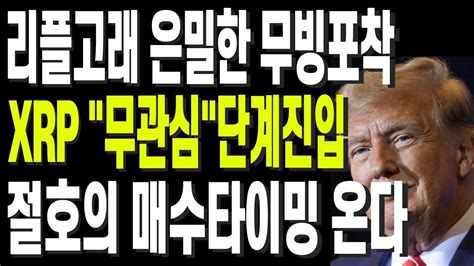 비트코인 리플 도지코인 이더리움 리플고래 은밀한 무빙포착 Xrp 무관심단계진입 절호의 매수타이밍 온다 Youtube