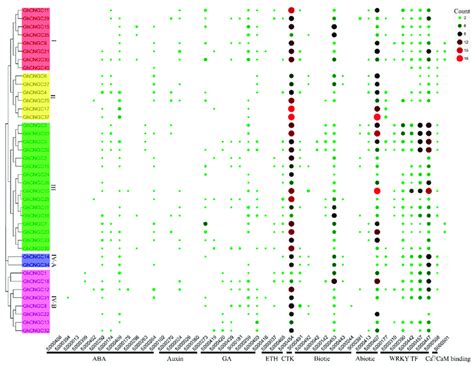 Cis Acting Regulatory Elements Composition In The Promoters Of Cngc