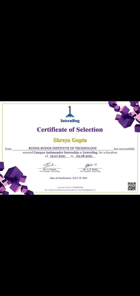 shreya gupta on linkedin internbug