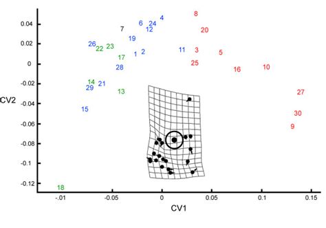 Canonical Variates Cv Score Plot For Cv Axes 1 And 2 Herbivores In