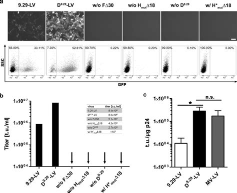 D 9 29 Lv Mediates Efficient Gene Delivery Equal Amounts Of Egfp Download Scientific Diagram