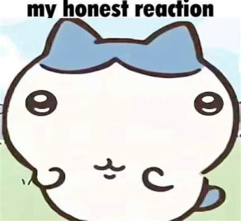 Best 13 Chiikawa Literally Me Artofit