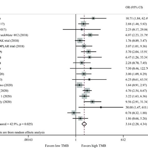 Forest Plot For Os Of High Tmb Versus Low Tmb In Nsclc Patients Download Scientific Diagram