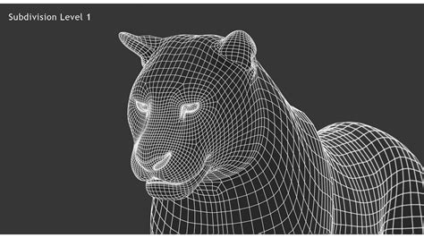 Cougar Animated Fur 3d Model For Download Promax3d
