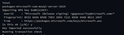 Cómo Instalar Y Utilizar Ms Sql Server En Rocky Linux Howtoforge