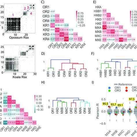 Figure S5 Xist Repeats B C And D Are Enriched For Hnrnpk Binding