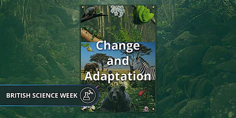 British Science Week Poster Beyond Science Twinkl